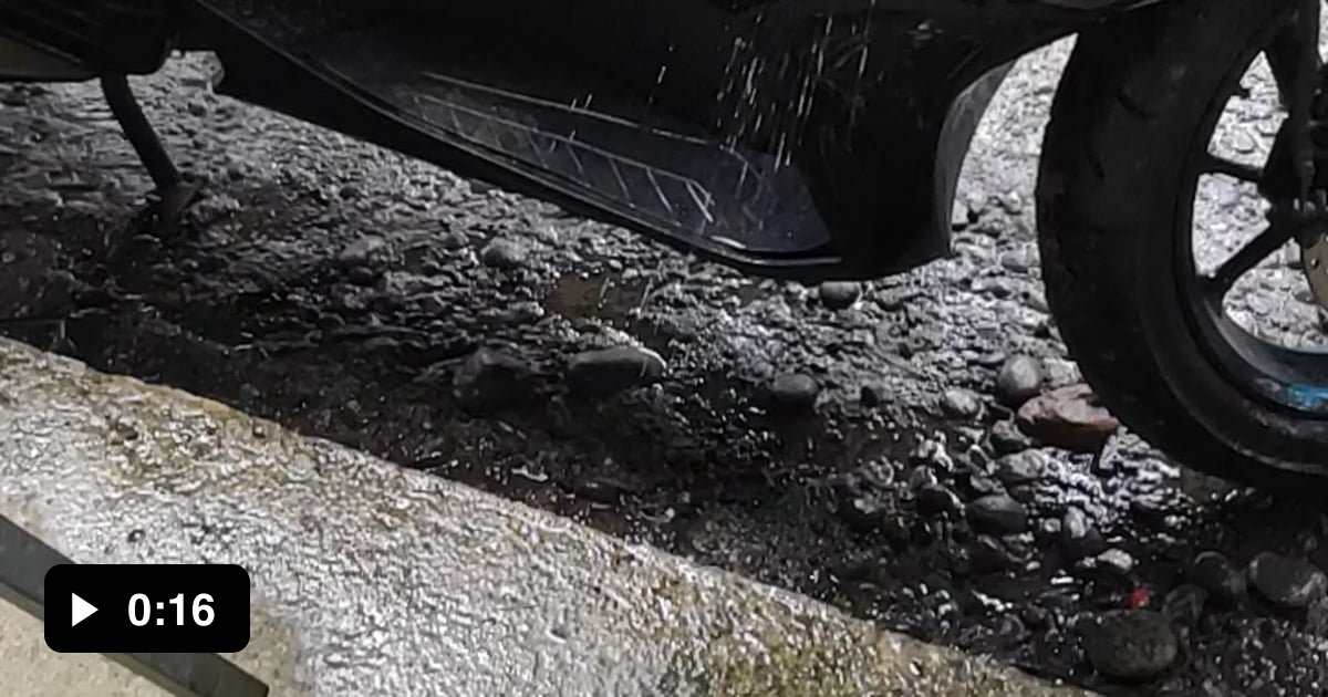 My cats sleeping under the rain. Lucky bastards. - 9GAG