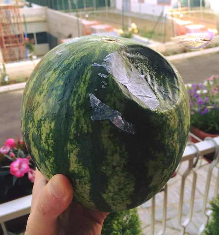That's no moon ....I mean watermelon - 9GAG