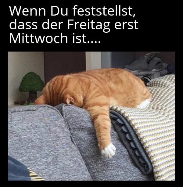 Bergfest - 9GAG