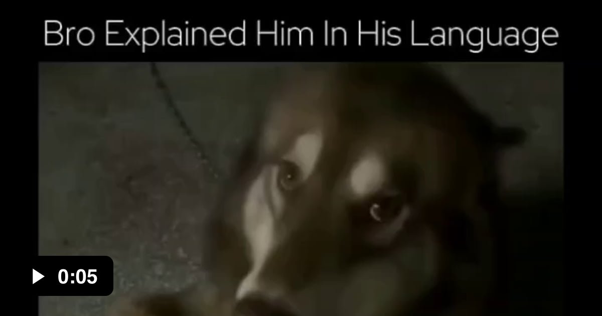 Dog language - 9GAG