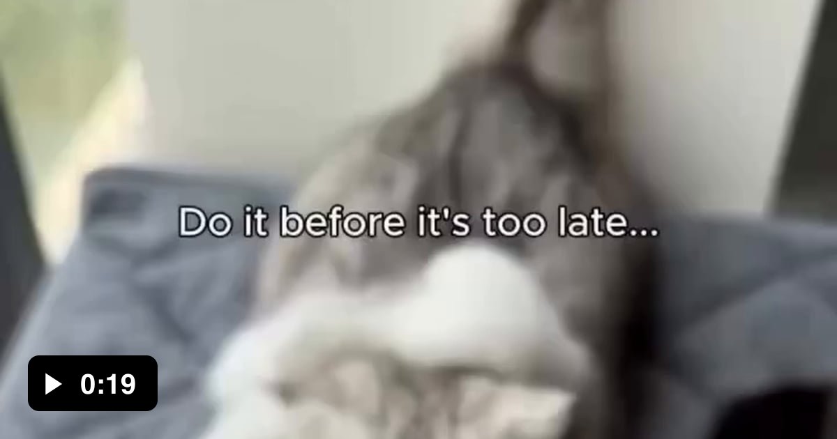 Saving a piece of my best friend forever - 9GAG