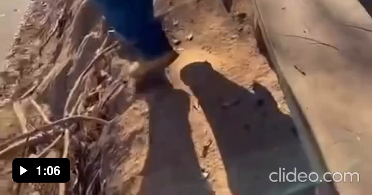 Reminder to myself: don't fall into piranha and crocodile infested ...