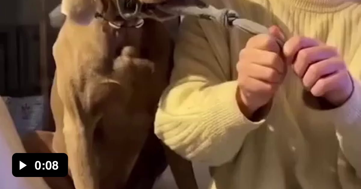 How can she slap?! - 9GAG