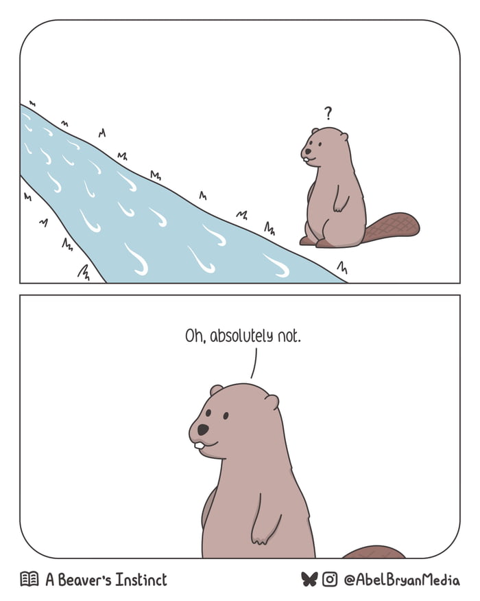 A Beaver's Instinct - 9GAG