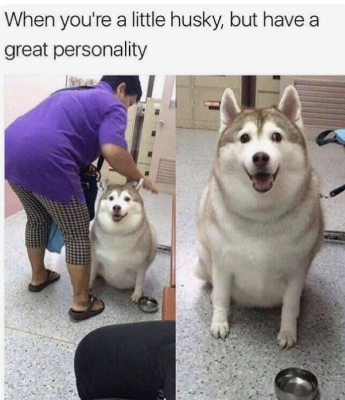 Of a husky - 9GAG
