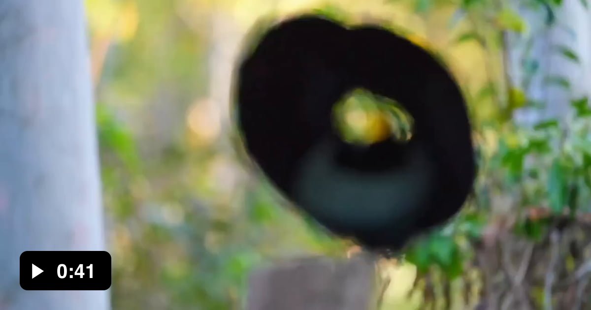 You want sum fuk?? - 9GAG