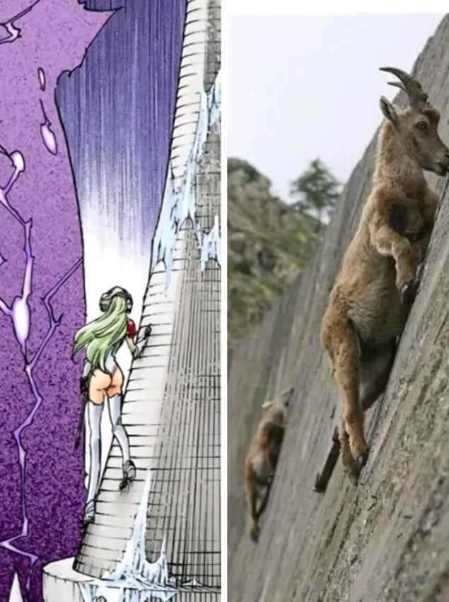 She is a goat, but - 9GAG