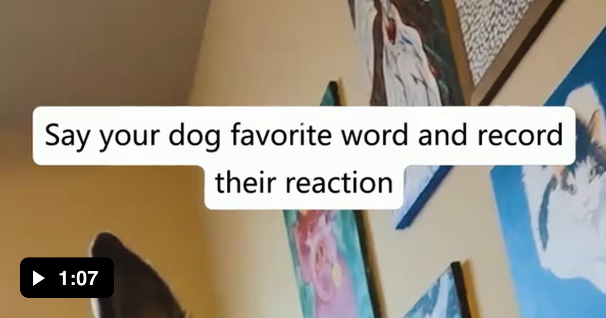 We all have that one magic word...... - 9GAG