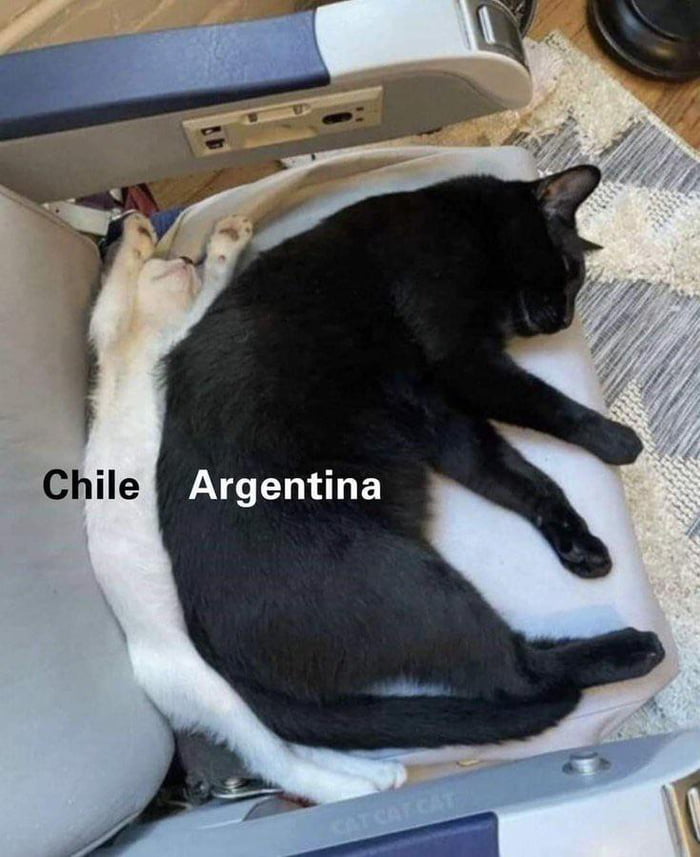 South america cats - 9GAG