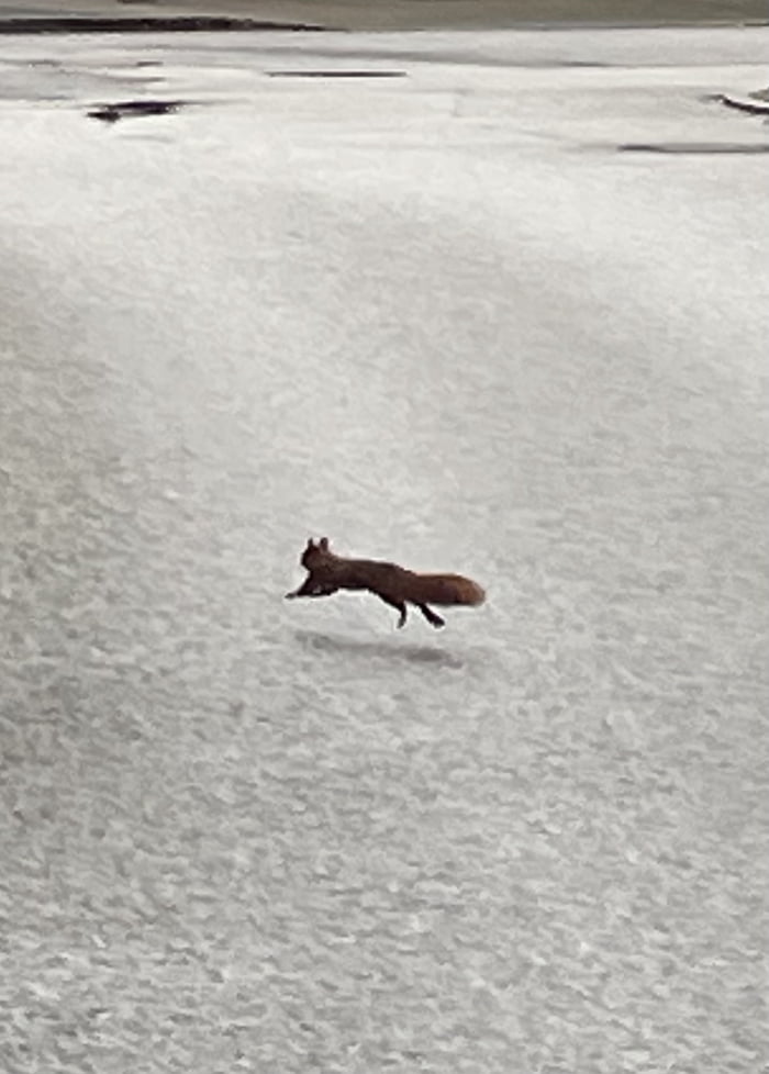 Devil on the run - 9GAG