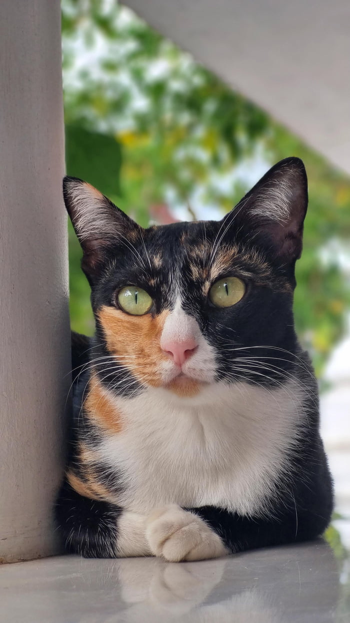 She looks so polite - 9GAG