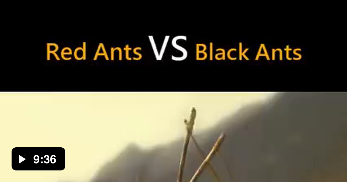 Need more sequel - 9GAG