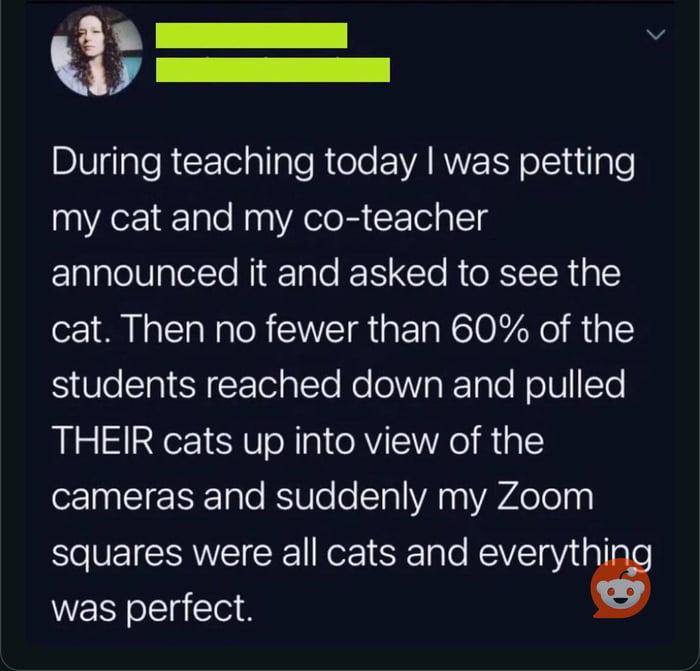 Cat ZOOM Call - 9GAG
