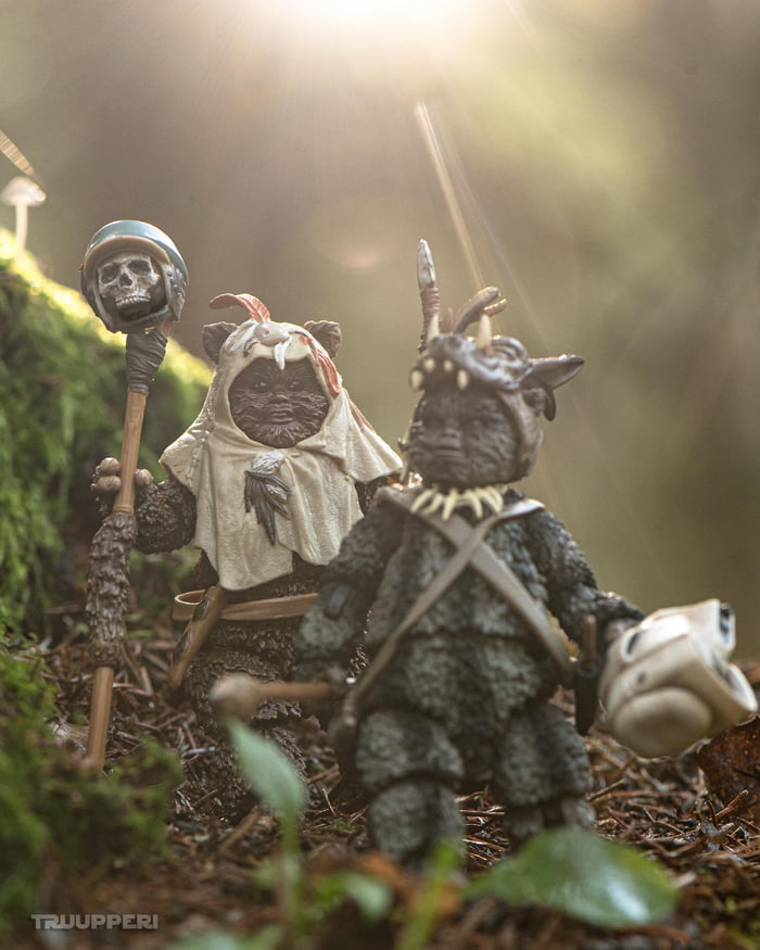 Ewoks are teddy-bear like creatures from Star Wars that live on the ...