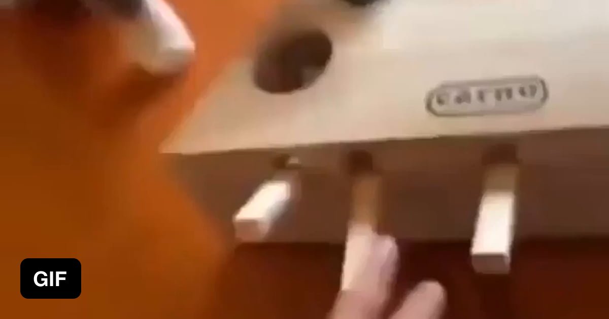 Cat prank box - 9GAG