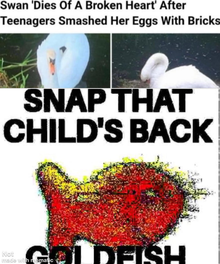 Murder murder murder - 9GAG