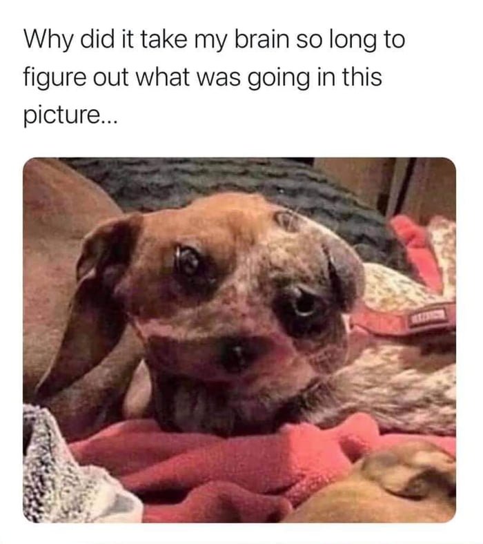 My brain loading for about 10 mins - 9GAG