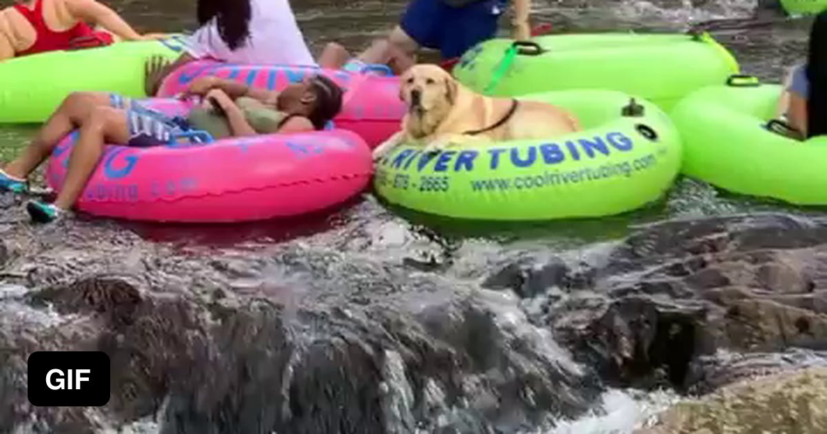 Going with the flow - 9GAG