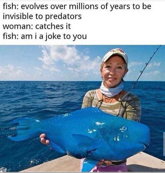 Even the fish looks surprised... - 9GAG