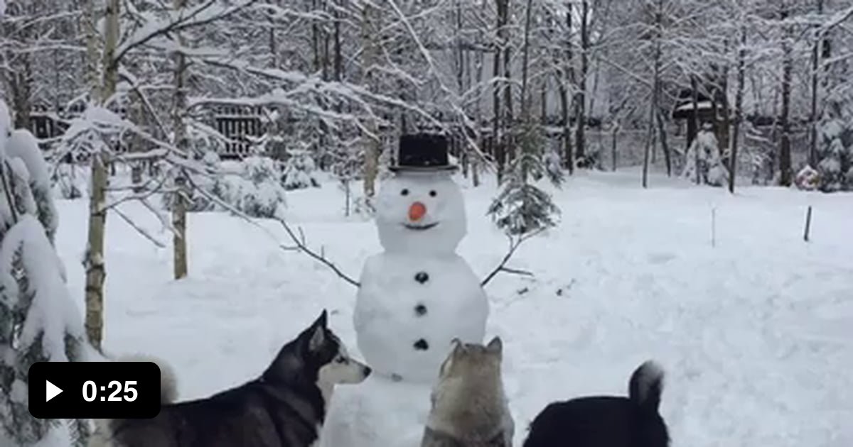 Snowman robbery - 9GAG
