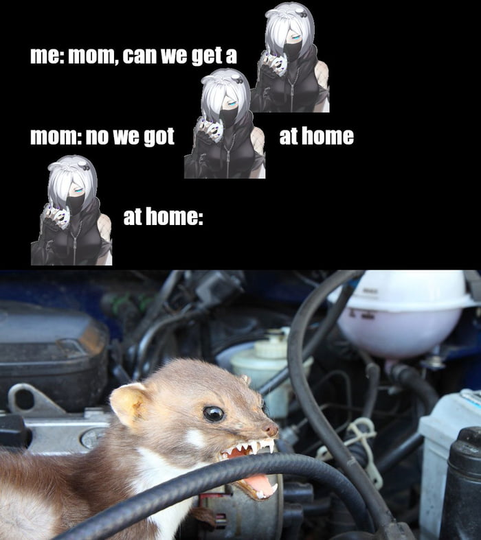 Anaty are so damn cute - 9GAG