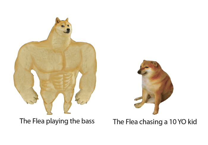 The Old Flea - 9GAG