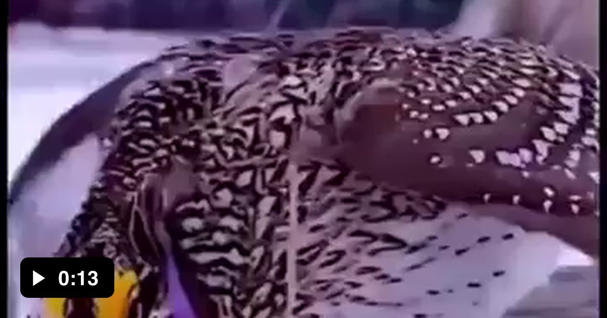 A grouse doing the Maniac dance from Flashdance - 9GAG