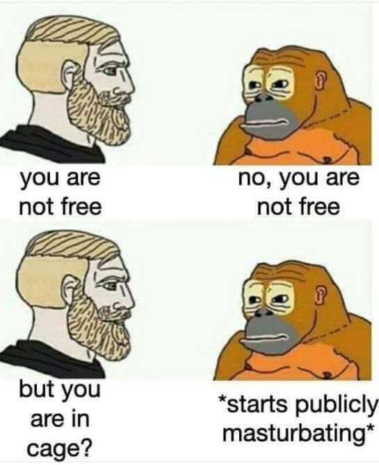 We should go back in evolution. - 9GAG