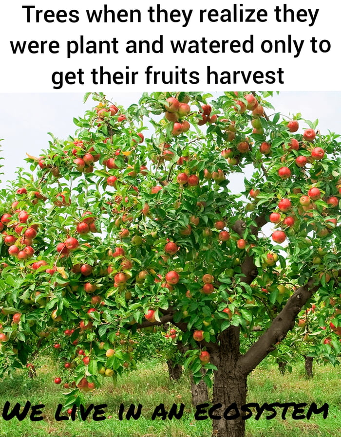 Handmade meme - 9GAG