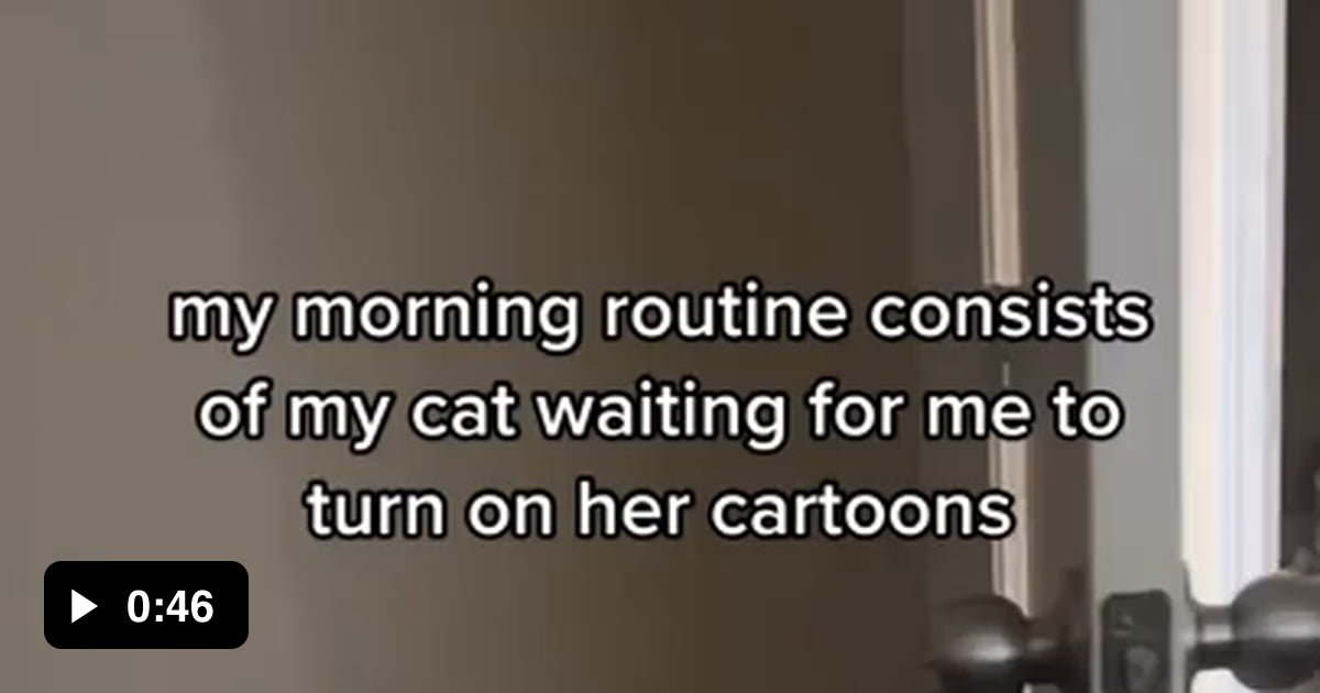 Likes cartoons like us - 9GAG