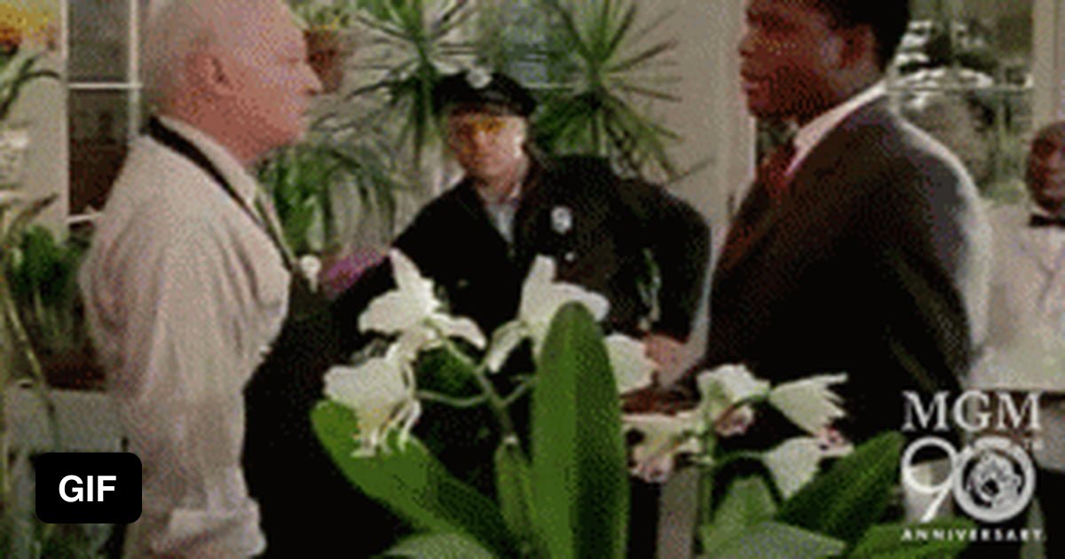 Add this to your famous slap collection - 9GAG