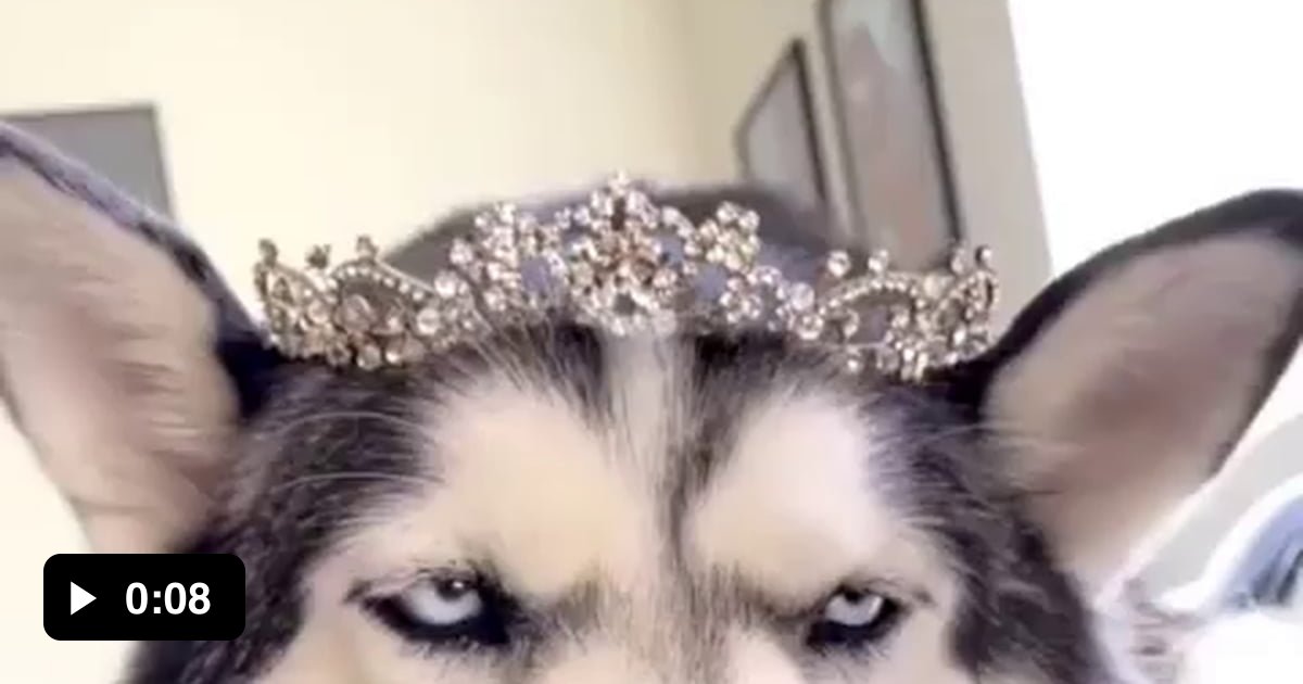 Pure Princess energy lol - 9GAG