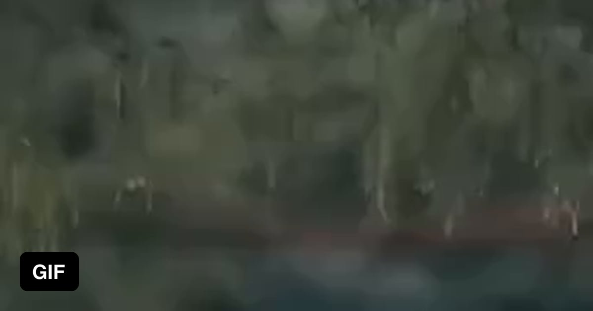 Show me stuff that'd make me question GOD - 9GAG