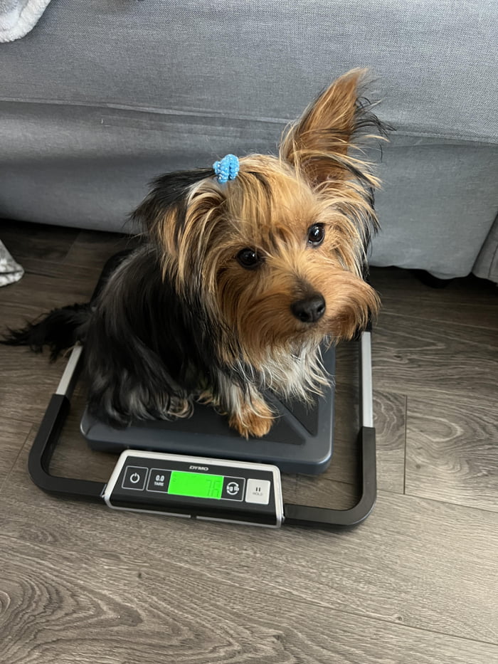 7.6 lbs of cuteness - 9GAG