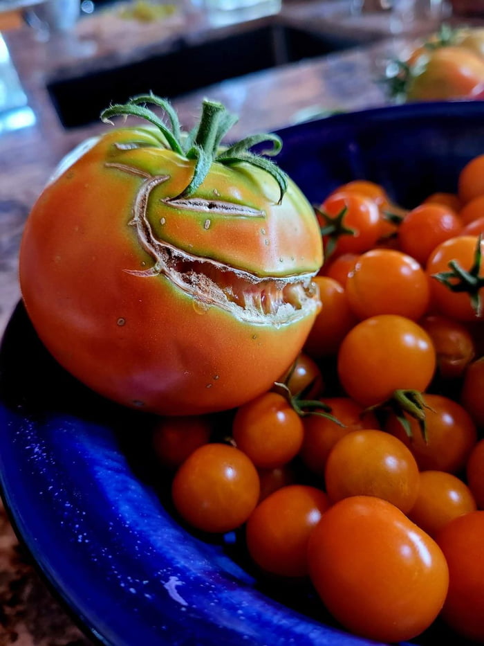 Scary Tomato is scary - 9GAG