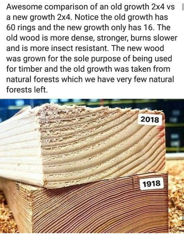 Timber then vs now - 9GAG