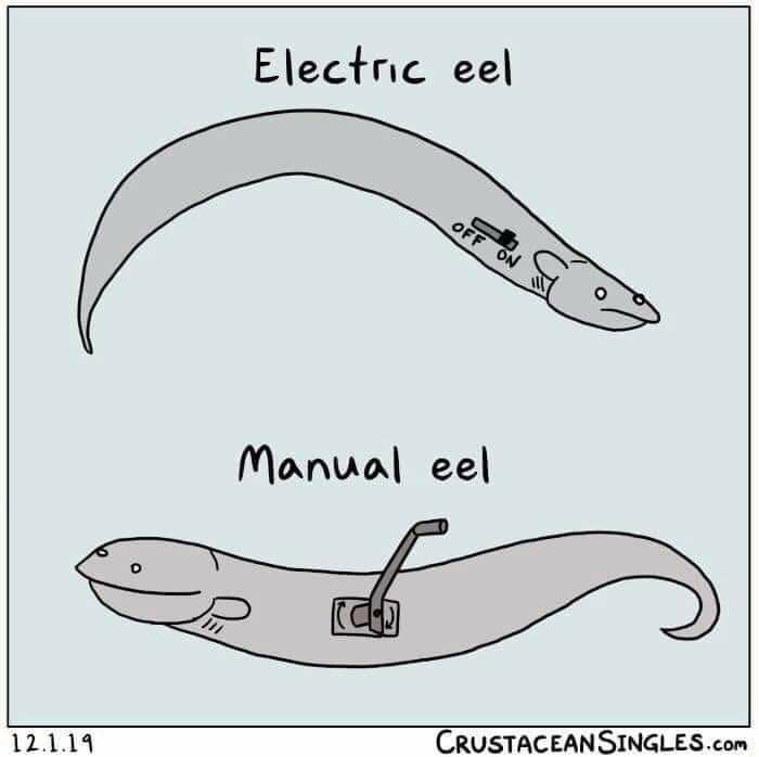 Can we have a hybrid eel? - 9GAG