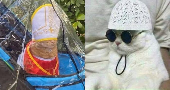 Cat-holic & Meowslim - 9GAG