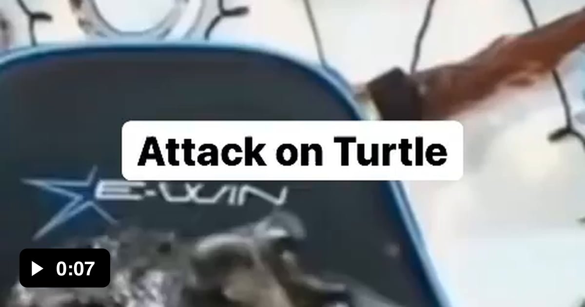 Attack on Turtle - 9GAG