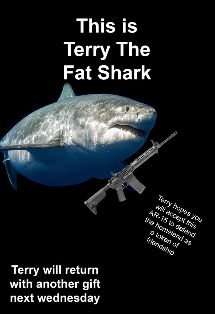 Terry the Fat Shark - 9GAG
