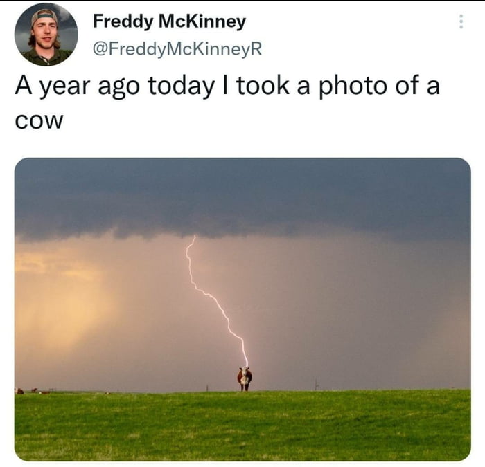 Tony the thunder cow exterminator of grass - 9GAG