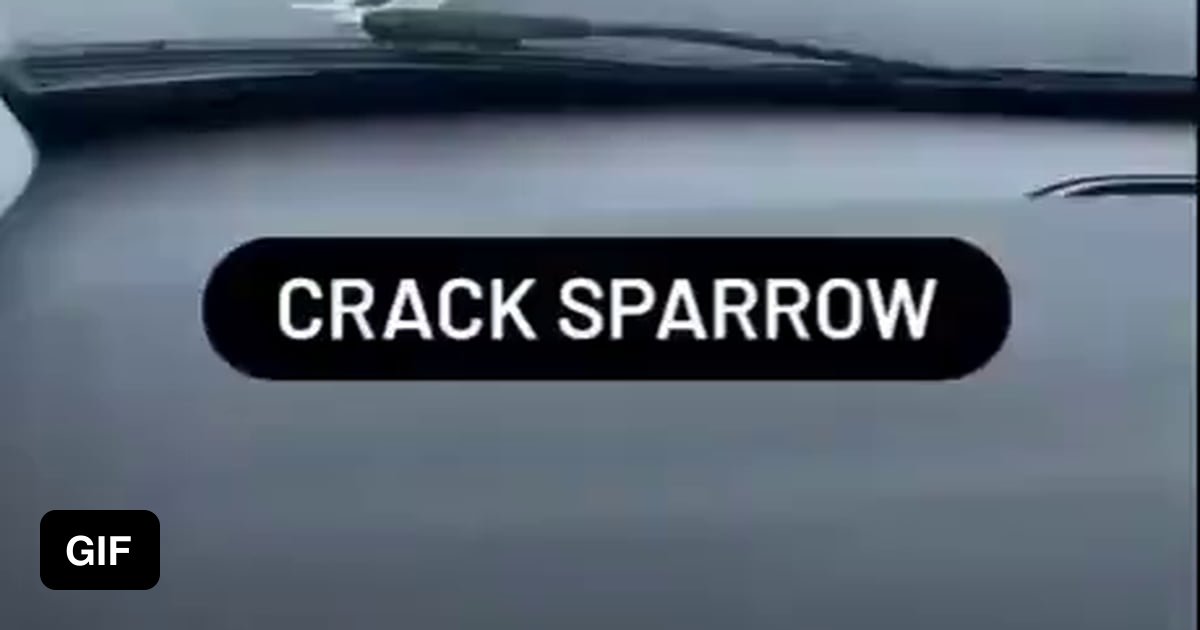 CAPTAIN... Crack Sparrow! - 9GAG