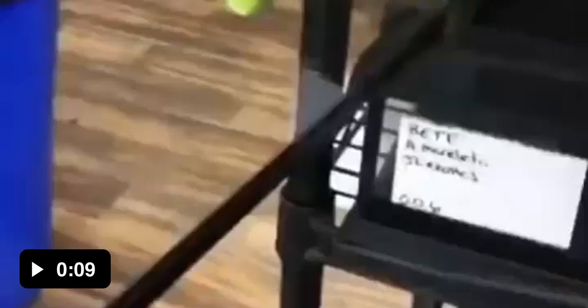 Its that time of week - 9GAG