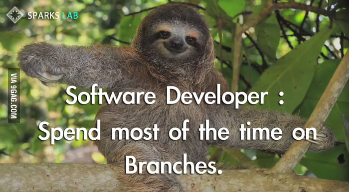 Dat sloth is a software developer - 9GAG