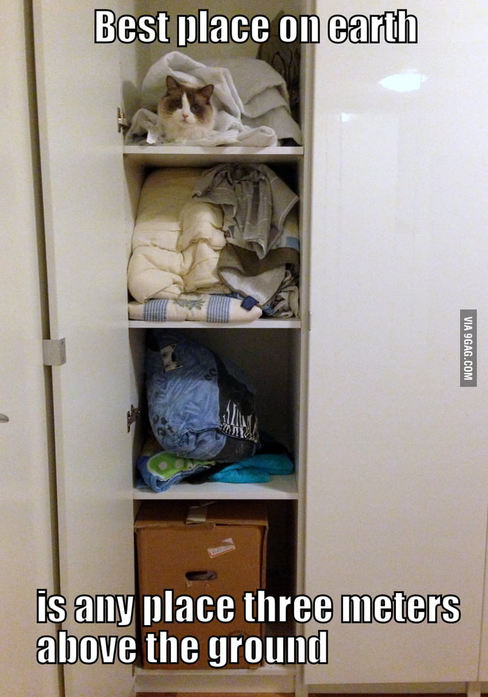 Cat logic - 9GAG