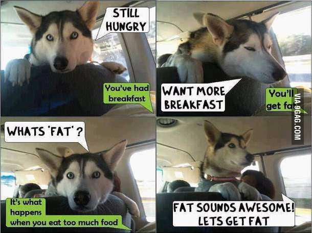Fat sounds Awesome lets get fat - 9GAG