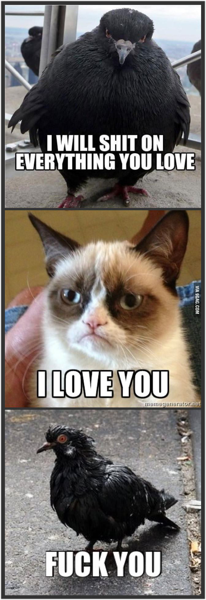 Grumpy cat strikes back - 9GAG