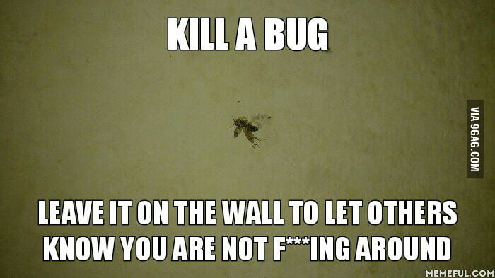 Kill a bug... - 9GAG