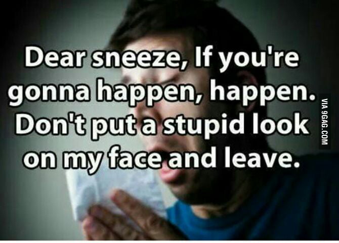 Why u gotta be so rude sneeze? - 9GAG
