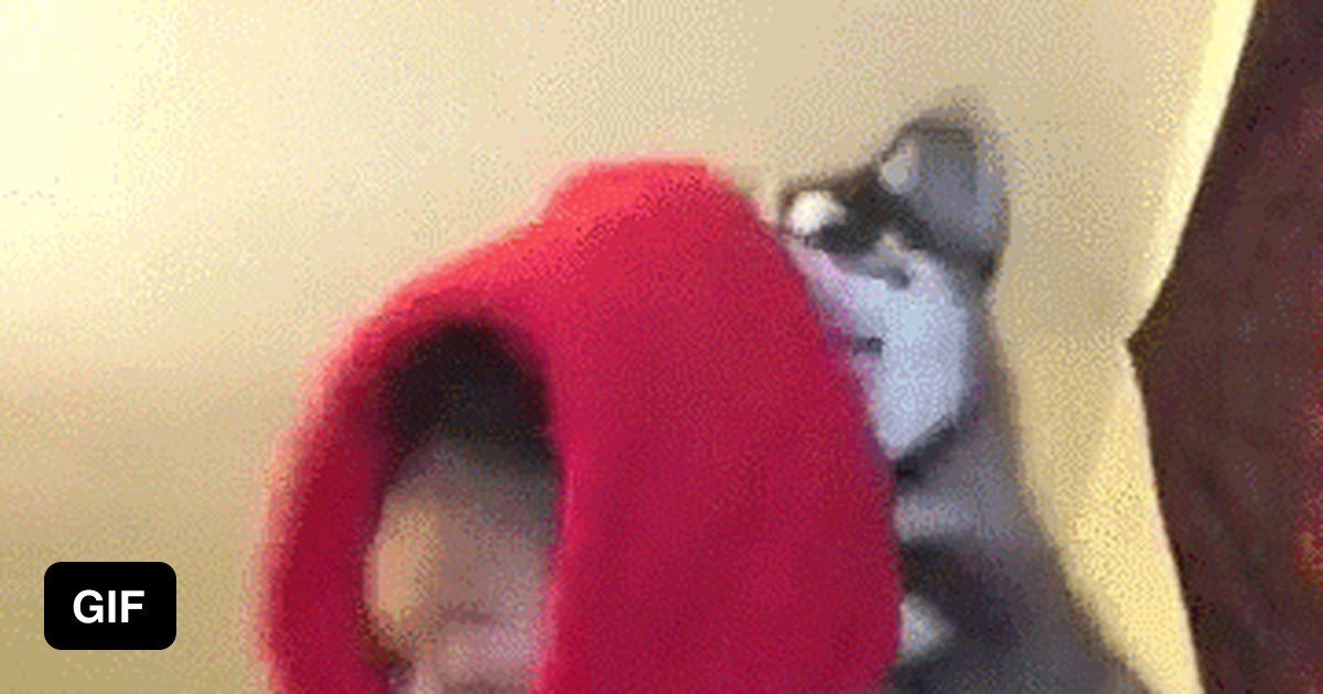 The best reverse gif I've ever seen - 9GAG